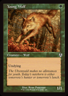MTGNexus - Young Wolf from Innistrad Remastered