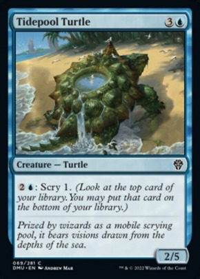 MTGNexus - Tidepool Turtle from Dominaria United