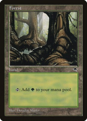 MTGNexus - Forest from Tempest