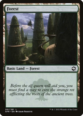 MTGNexus - Forest from Adventures in the Forgotten Realms