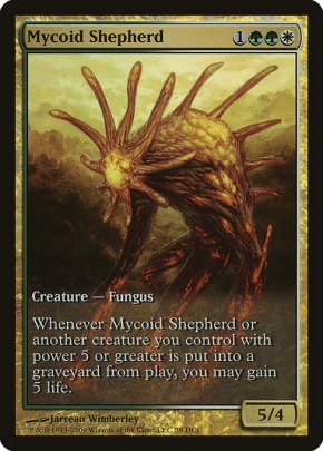 MTGNexus - Mycoid Shepherd from DCI Promos