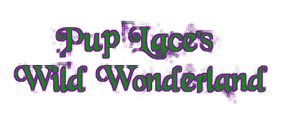 MTGNexus - Pup Lace's Wild Wonderland