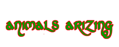 MTGNexus - animals arizing