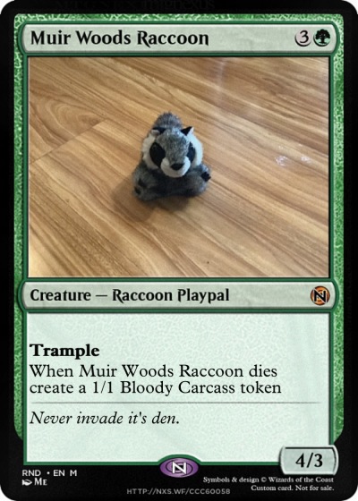MTGNexus - Muir Woods Raccoon