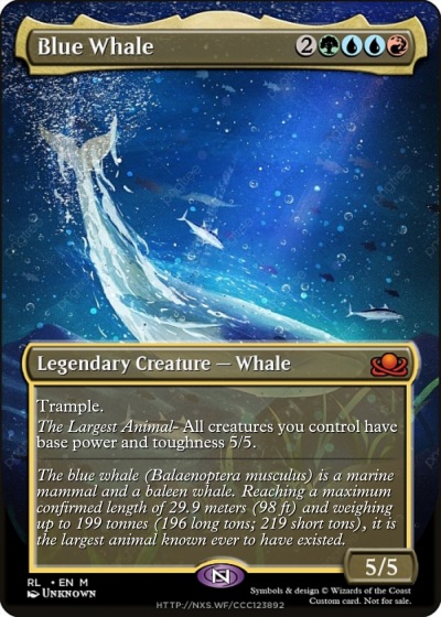 MTGNexus - Blue Whale
