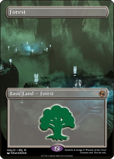 MTGNexus - Forest