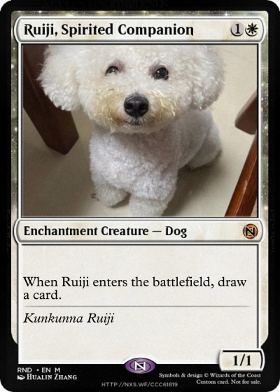 MTGNexus - Ruiji, Spirited Companion