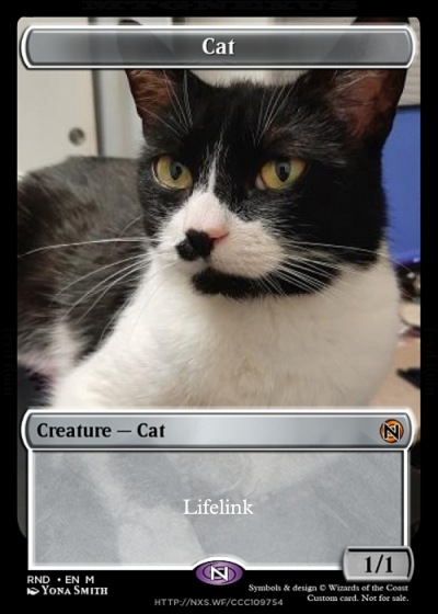 MTGNexus - Cat