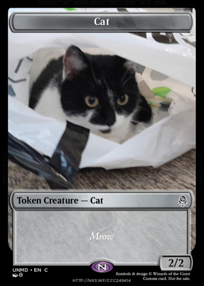 MTGNexus - Kai and Graham