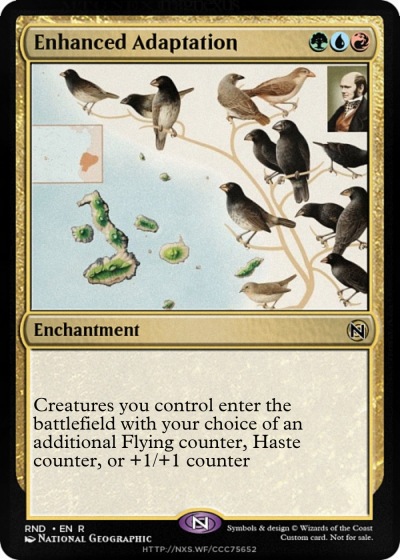 MTGNexus - Enhanced Adaptation