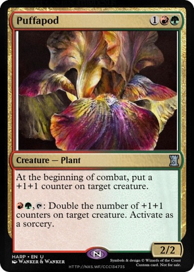 MTGNexus - Harry Potter, Chosen One