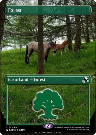 MTGNexus - Forest