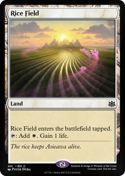 MTGNexus - Rice Field