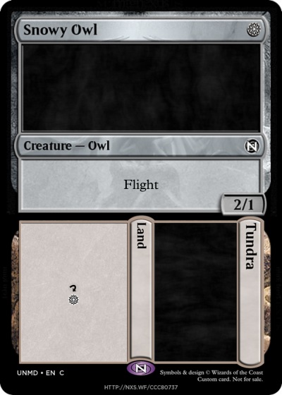 MTGNexus - Snowy Owl // Tundra