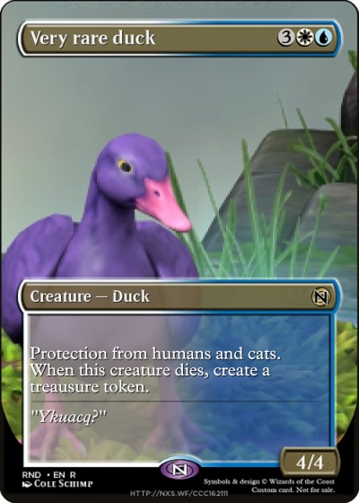 MTGNexus - Very rare duck