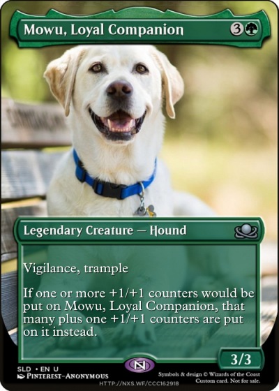 MTGNexus - Secret Lair: Real Images