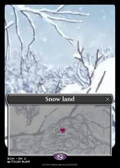 MTGNexus - Snow land