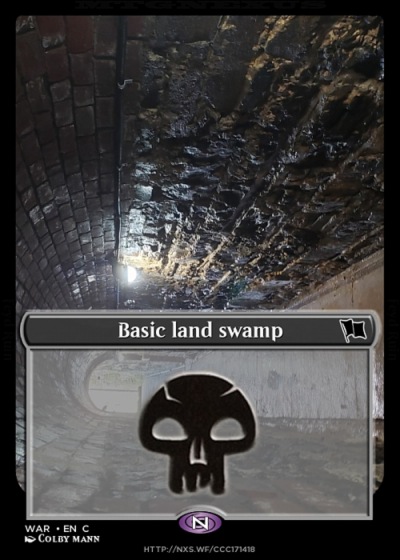 MTGNexus - Basic land swamp