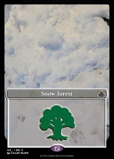 MTGNexus - Snow forest