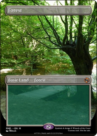 MTGNexus - Forest