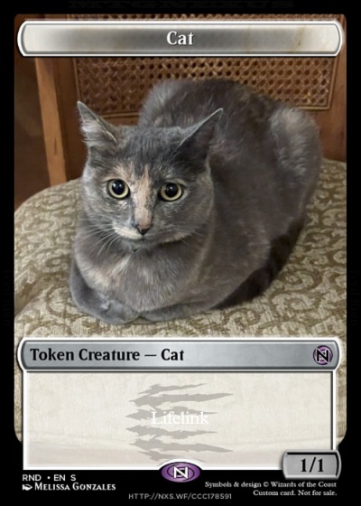 MTGNexus - Cat