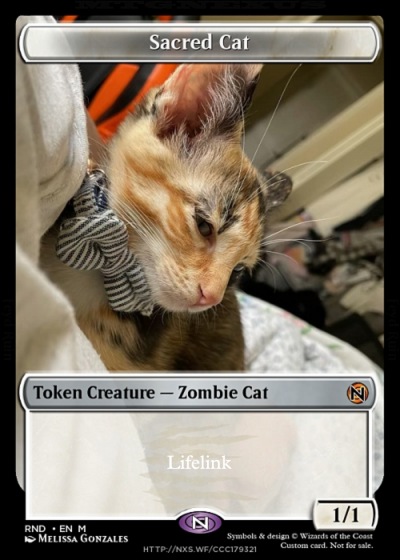 MTGNexus - Sacred Cat