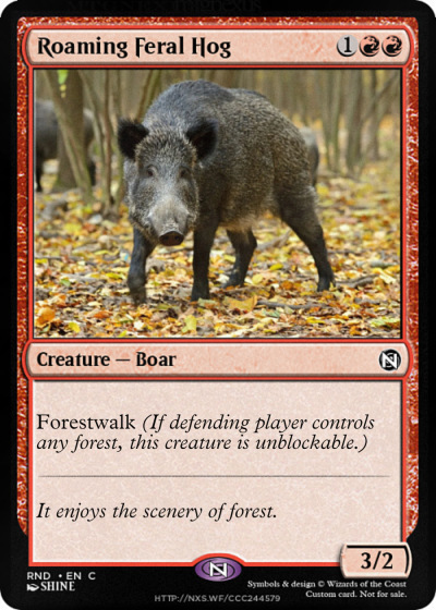 MTGNexus - Roaming Feral Hog