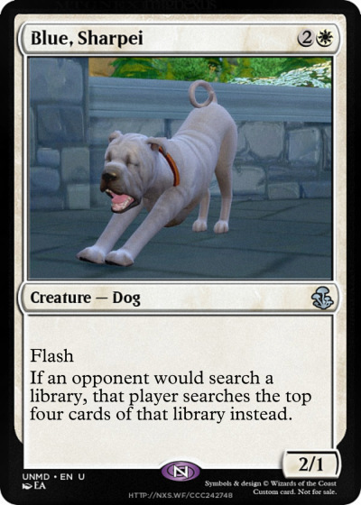 MTGNexus - Blue, Sharpei