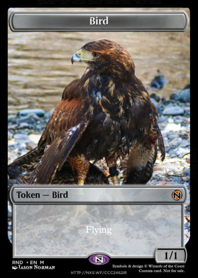 MTGNexus - Bird
