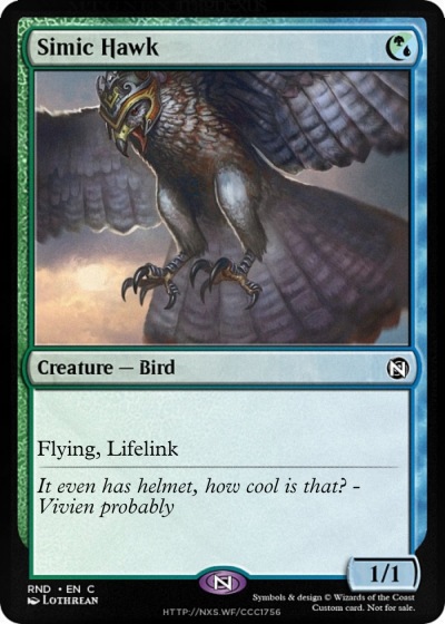 MTGNexus - Simic Hawk