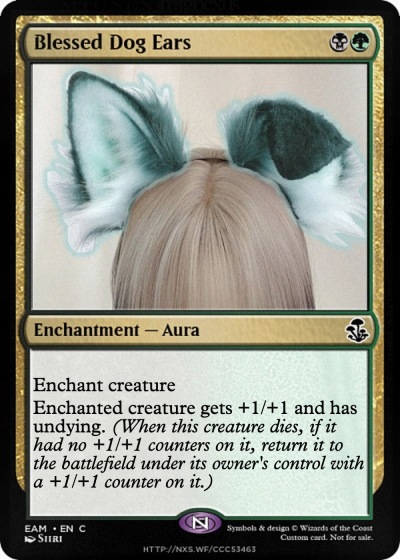 MTGNexus - Blessed Dog Ears