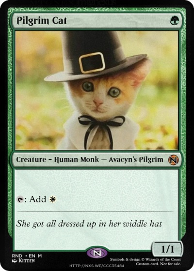 MTGNexus - Pilgrim Cat