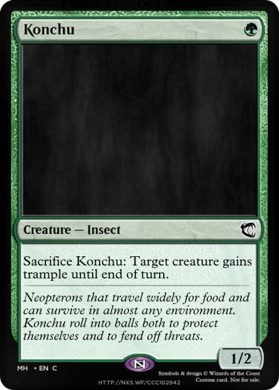 MTGNexus - Konchu