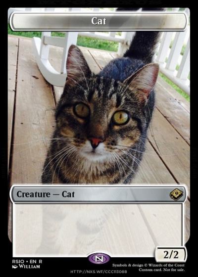 MTGNexus - Cat