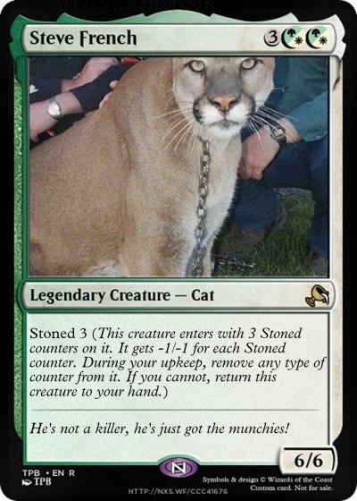 MTGNexus - Steve French