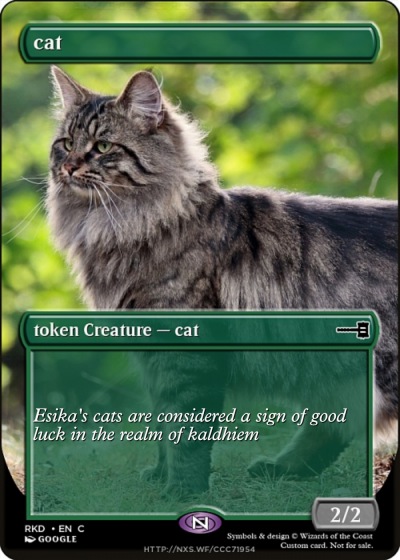 MTGNexus - cat