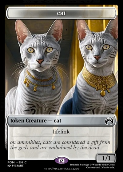 MTGNexus - cat