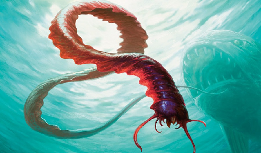 MTGNexus - Reef Worm Art by Dan Scott