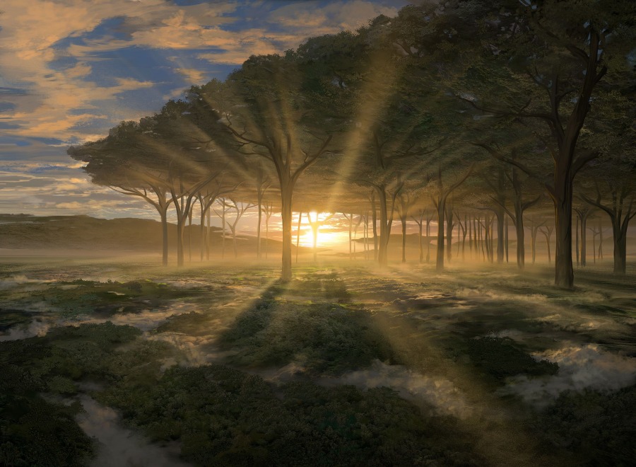 MTGNexus - Horizon Canopy Art by Noah Bradley