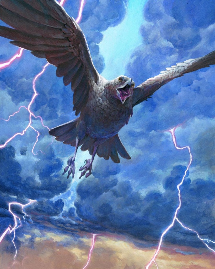 MTGNexus - Storm Crow Art by Jesper Ejsing