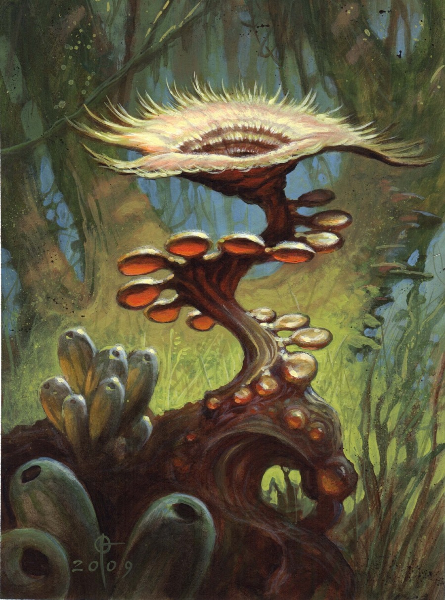 MTGNexus - Plant token Art by Daren Bader