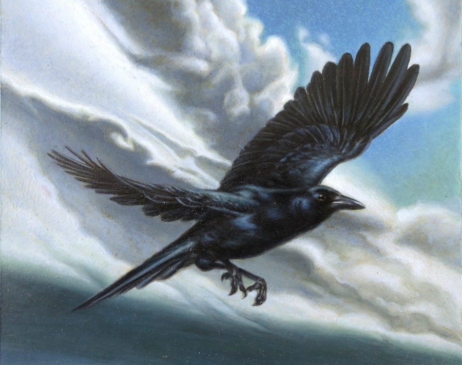 MTGNexus - Storm Crow Art by John Matson