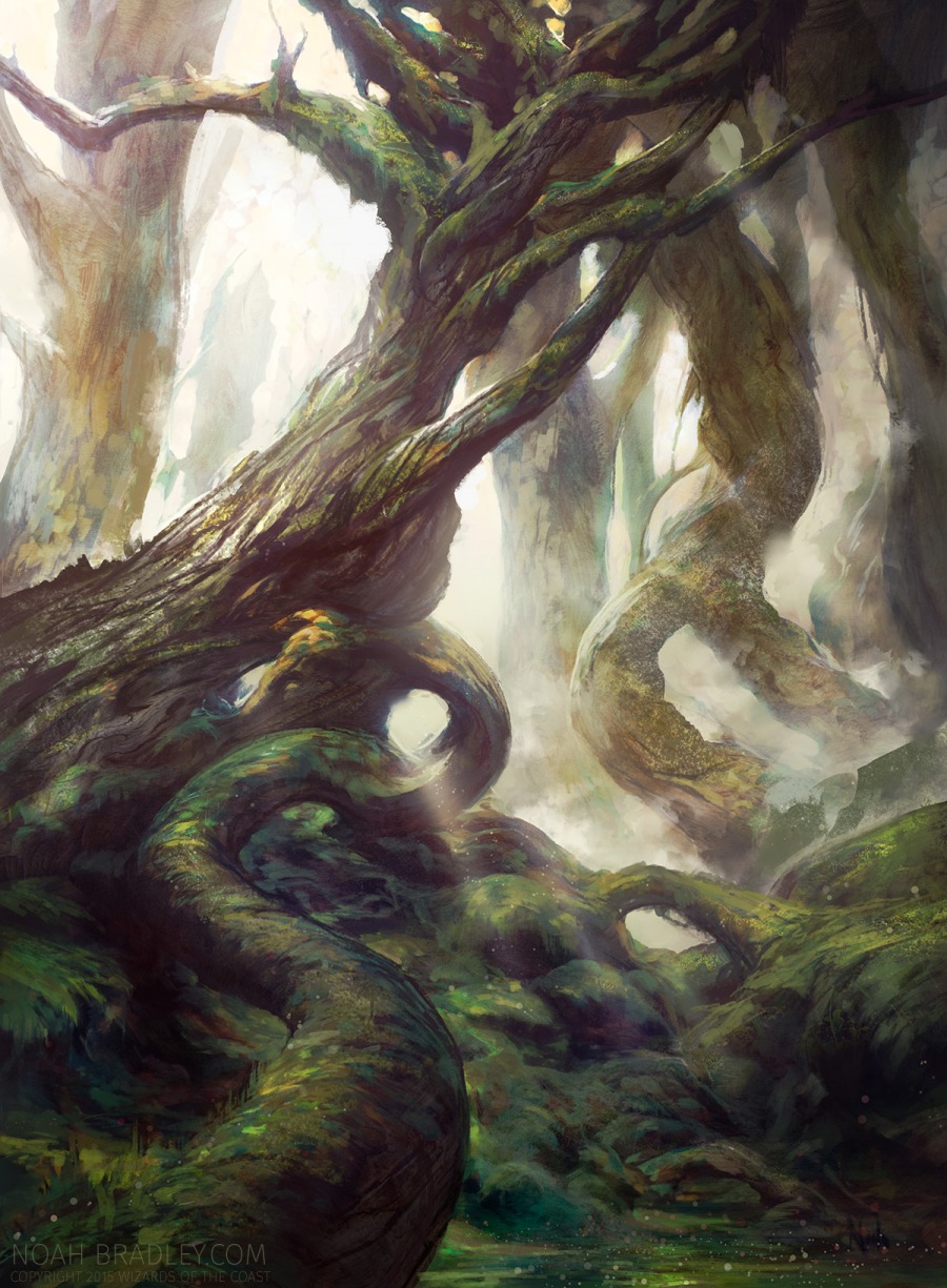 MTGNexus - Forest Art by Noah Bradley