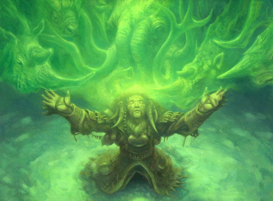 MTGNexus - Shamanic Revelation Art by Matt Stewart
