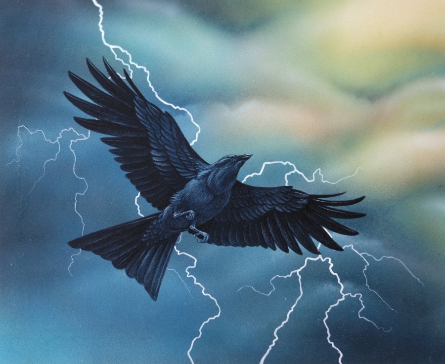 MTGNexus - Storm Crow Art by Una Fricker