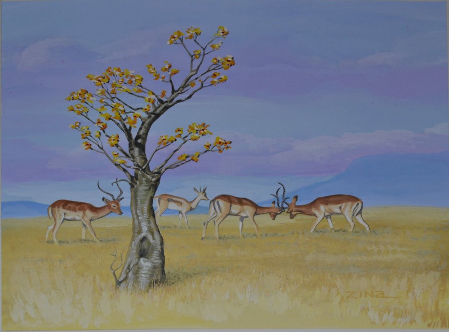 MTGNexus - Karoo Art by Zina Saunders