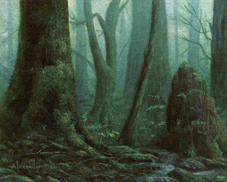 MTGNexus - Forest Art by Rob Alexander