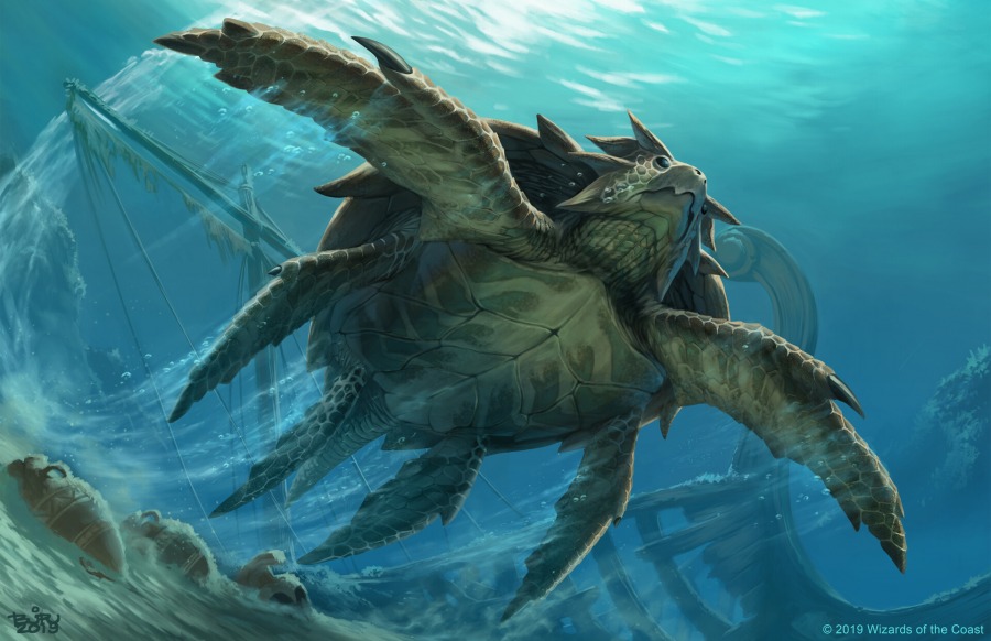MTGNexus - Riptide Turtle Art by Brian Valeza
