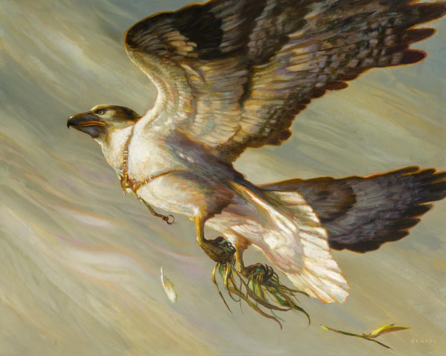 MTGNexus - Cartographer's Hawk Art by Donato Giancola
