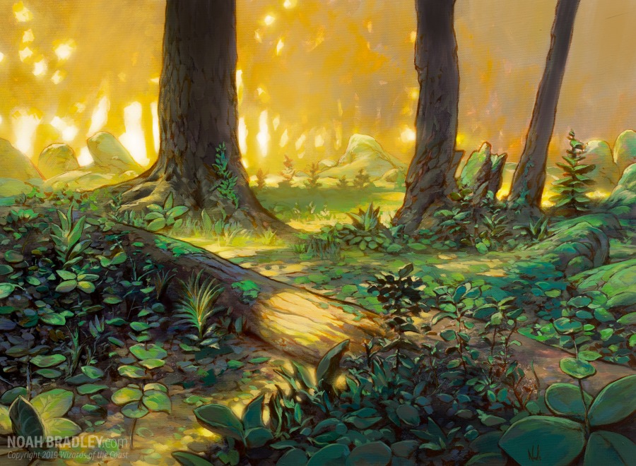 MTGNexus - Tranquil Thicket Art by Noah Bradley